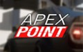 顶点Apex Point修改器(设置金钱)使用方法说明-下载集